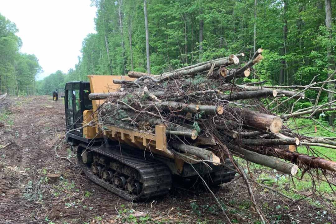 Disaster Recovery in Rochester, NY, & Nationwide | Terry Tree Service, LLC