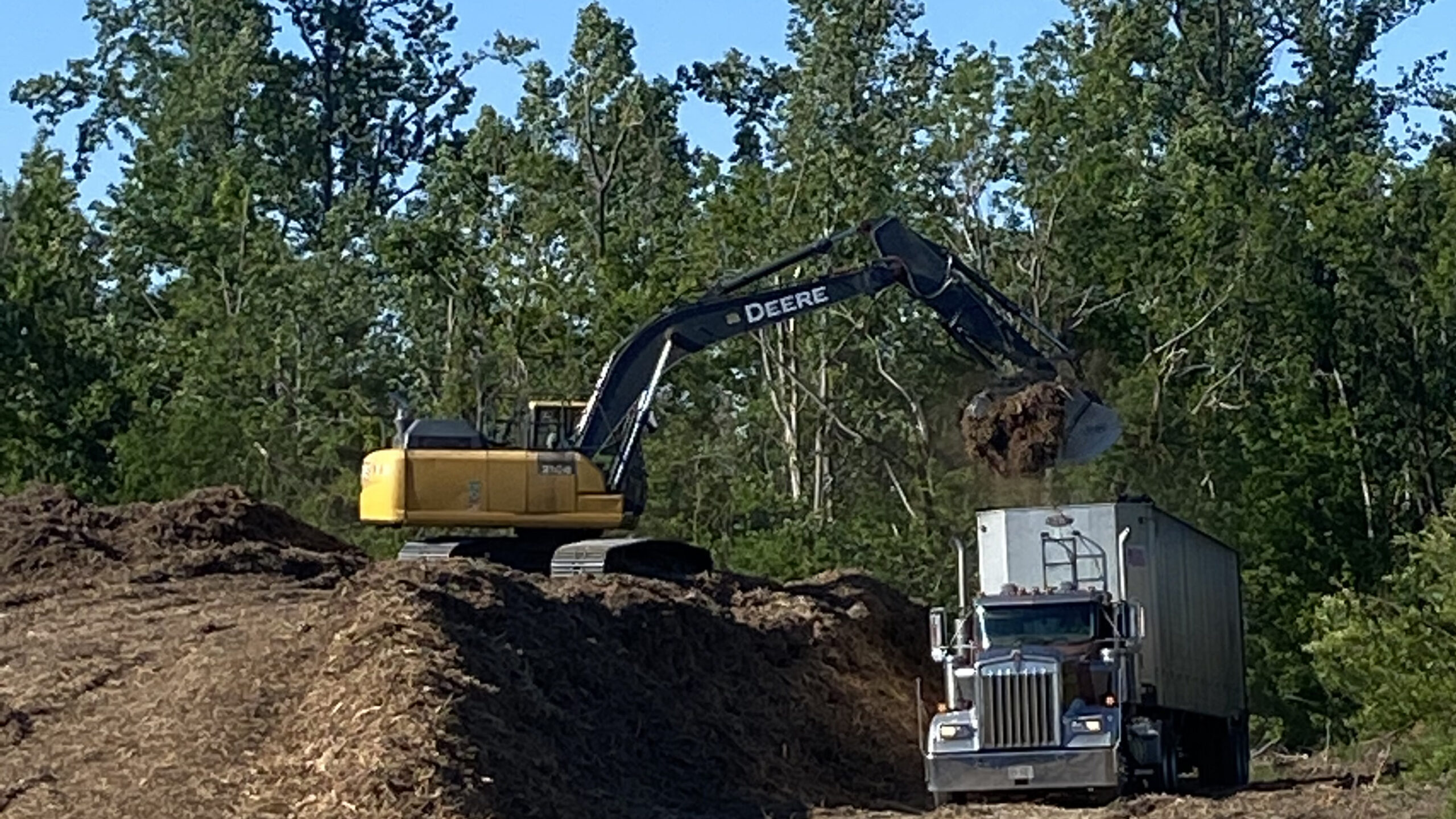 Virginia Ice Storm - Terry Tree Service