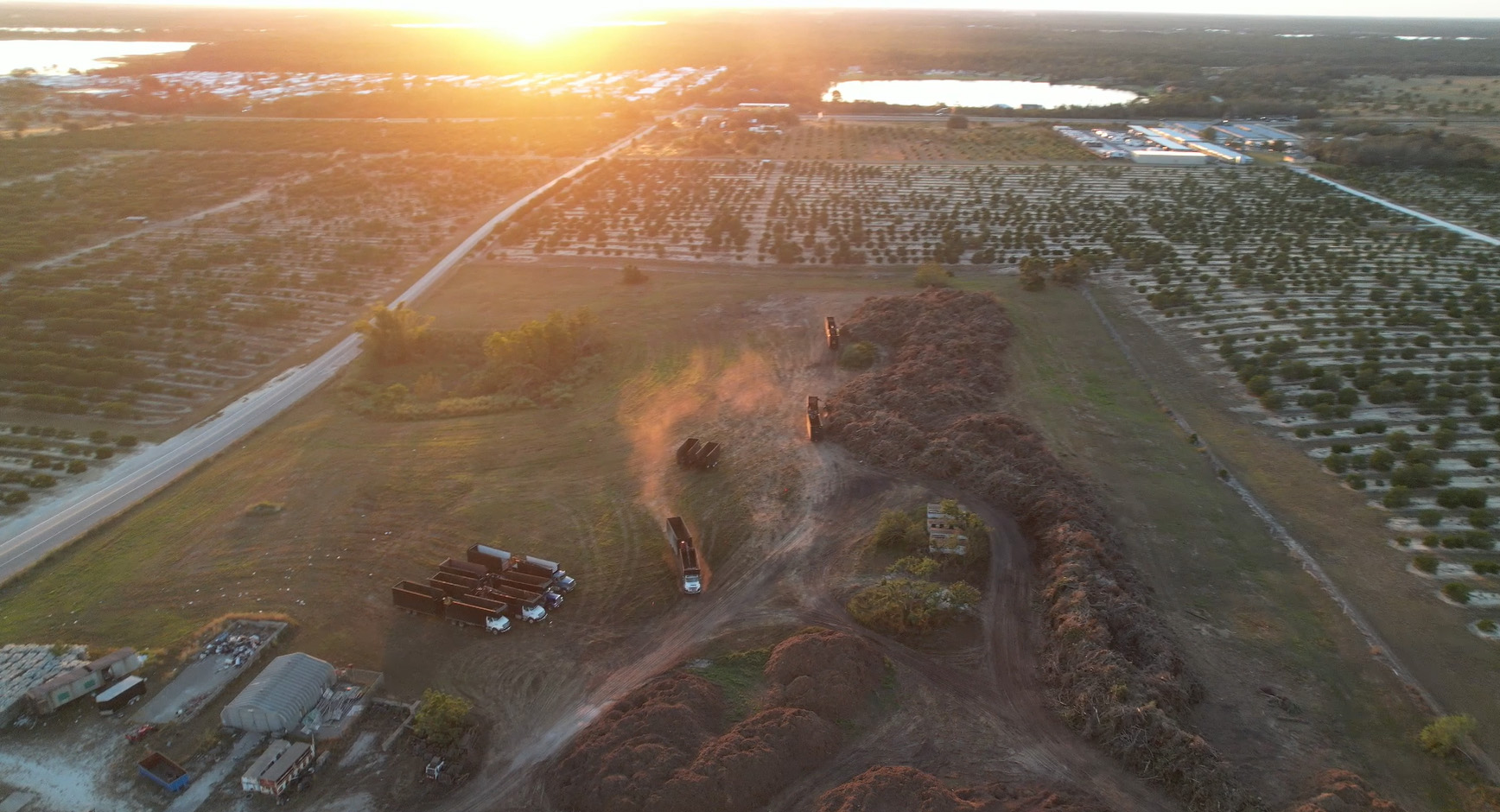 Hurricane Ian - Terry Tree Service